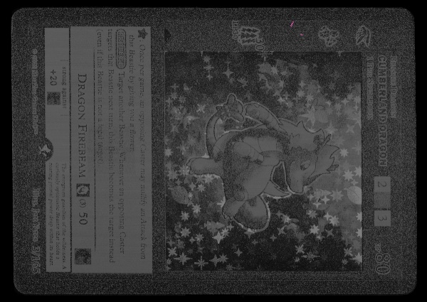 2022 MetaZoo Cryptid Nation Wilderness 3 1st Edition - Holo...